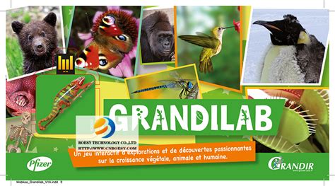 Paper Usb Drive Usb Flyer