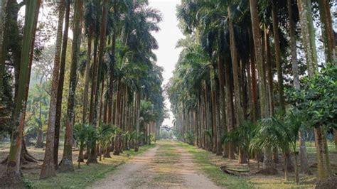 Shillong To Cherrapunji Road Trip Distance Sightseeing