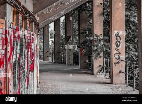 Abandoned Football And Athletics Stadium Old Building Abandoned