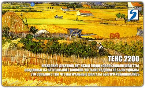 Текс 2200 что это значит