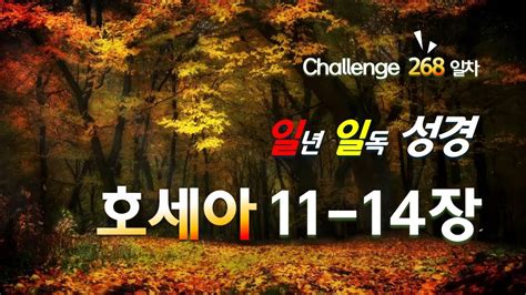 성경 일년일독 268차 9월24일 호세아 11 14장 ㅣ 성경완독 ㅣ매일성경읽기ㅣ성경듣기 ㅣ드라마 바이블 Youtube