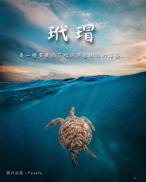 發點玳瑁貓 玳瑁 音同帶媚 是一種有黃褐花紋與黑色斑點的海龜 這種貓的花色與其很相似所以被稱為玳瑁色貓不只貓有玳瑁其實也