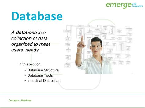 Ppt A Database Is A Collection Of Data Organized To Meet Users Needs