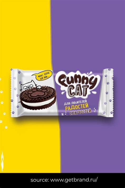119 Inspiring Biscuits Packaging Design Samples To Stand Out