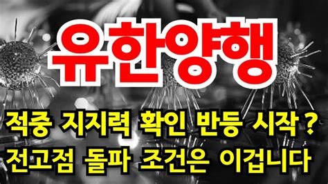 유한양행 주가 전망 그 어디서도 볼 수 없는 이 새로운 내용 딱 2시간만 공개하려고 합니다 Youtube