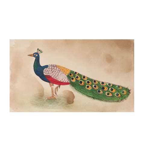 Indian Peacock Painting