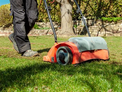 Should You Aerate And Overseed Your Lawn Backyard Boss