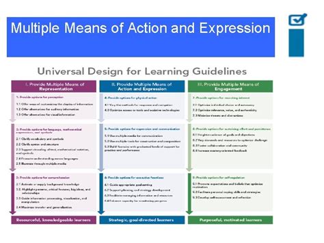 Multiple Means Of Action And Expression Udl Guidelines