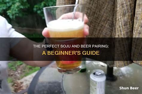 The Perfect Soju And Beer Pairing A Beginners Guide Shunbeer