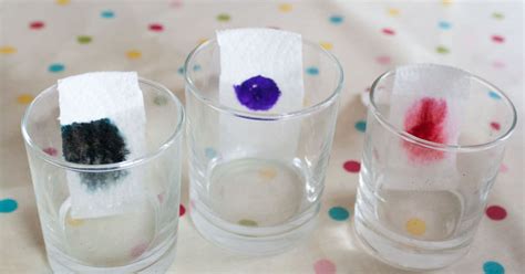Chromatography Experiment