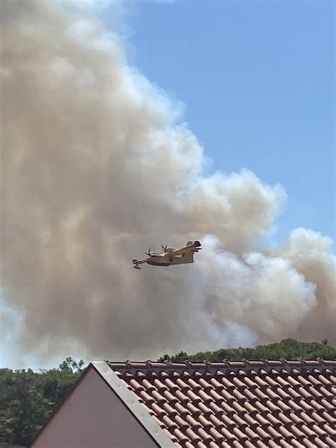 Požar Na Viru Alen Borbaš Kanadere Su Punili Uz Moj Lokal Daleko Je