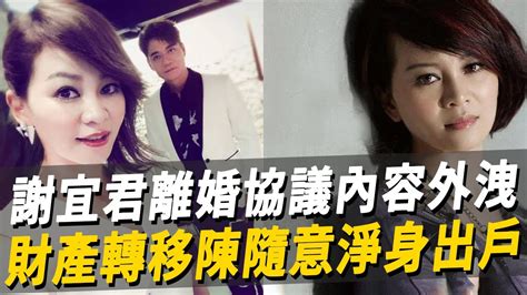 謝宜君離婚協議外洩？轉移全部財產逼陳隨意淨身出戶，精心算計24年手段太狠毒！ 謝宜君 陳隨意 娛樂八點檔 Youtube