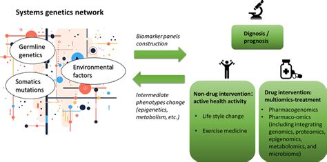 Translational Applications Based On Systems Genetics Network Download