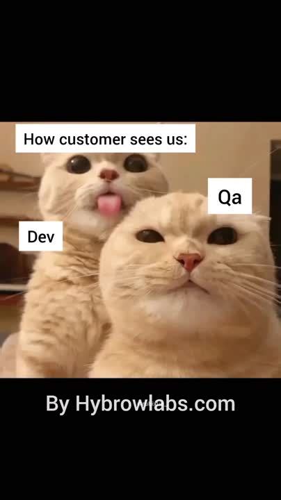 hybrowlabs technologies on linkedin devlife qalife pmsvsreality