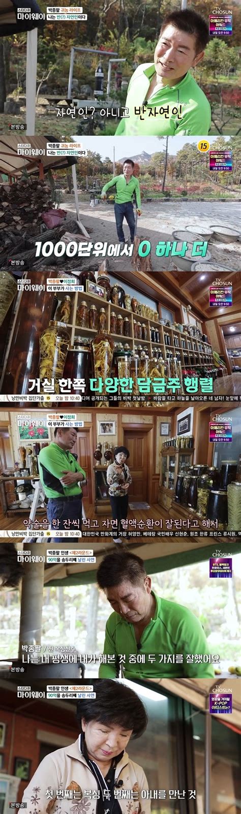 박종팔 집·땅만 29곳 보유→은퇴 후 90억 손해로 우울증 마이웨이 종합 나무뉴스