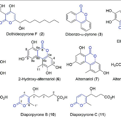 Structures Of Compounds 1 12 A The Structures Of Download