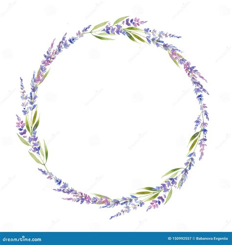 Watercolor Lavender Wreath Of Flowers Circle Floral Provencal Style
