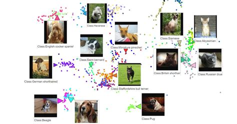 Introducing Tensorflow Similarity Ai Summary