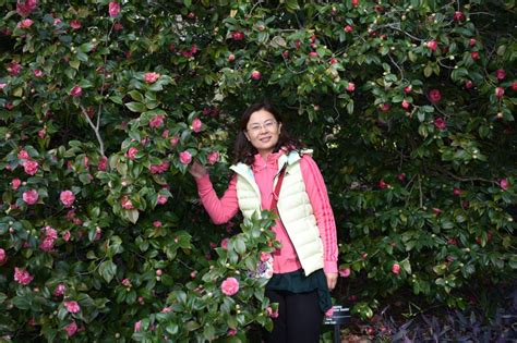 【郑工统战人物风采】——民革党员 刘艾莉 郑州工程技术学院 党委统战部
