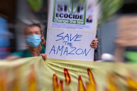 Amazzonia Dal 2017 Persi 5 Milioni Di Ettari Di Foresta Un Territorio