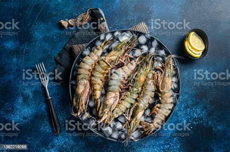거대한 검은 호랑이새우는 얼음이 달린 접시에 새우를 새우로 새우를 먹는다 생 해산물 파란색 배경입니다 위쪽 보기 갑각류에 대한