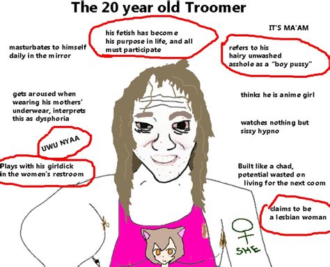 The 20 Year Old Troomer Wojak Know Your Meme