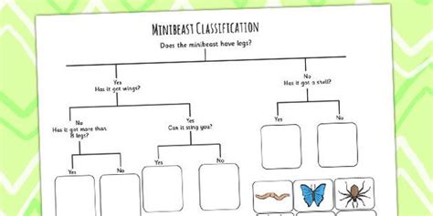 Minibeast Classification Game Minibeasts Activities Minibeasts
