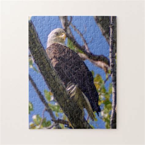 Bald Eagle Puzzle Zazzle