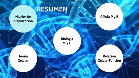 Biología Molecular Y Celular By Ariadna Silva Salinas On Prezi