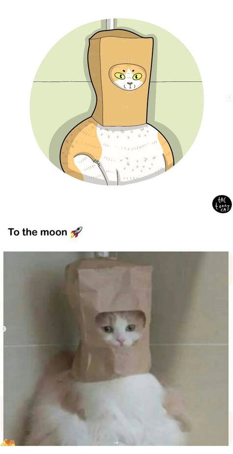 Xd