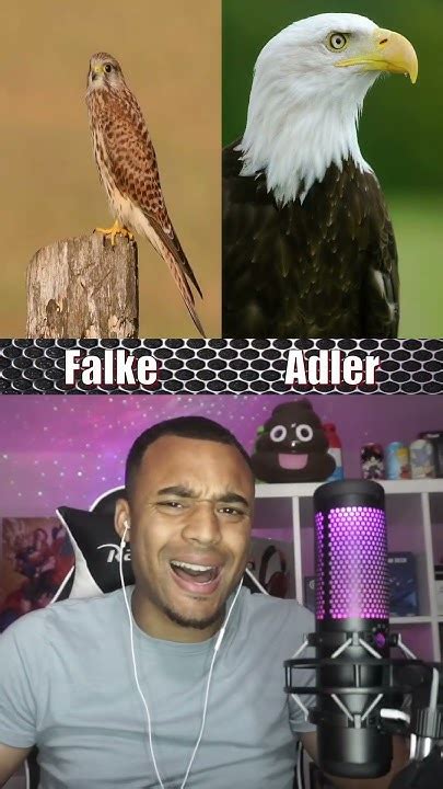 Was ist Schneller 💨 - YouTube