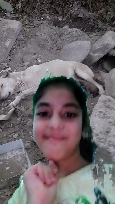 توله‌ها فروشی هستند دختر ها ۸ملیون تومان پسر ها ۶ ملیون تومان Youtube