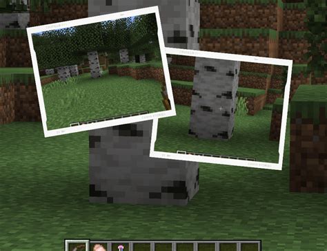 How To Make One Way Glass In Vanilla Minecraft Glass Door Ideas