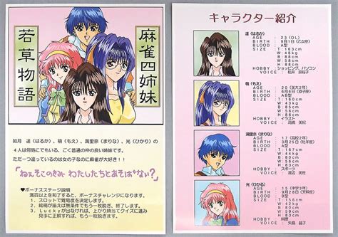 駿河屋 麻雀四姉妹 若草物語 [基板のみ] インスト1枚付 （アーケードゲーム基板）