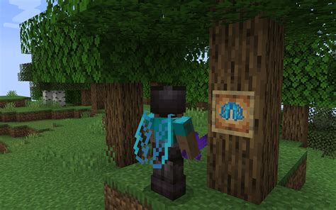 Better Allay Elytra Better Wings Minecraft Resource Packs Curseforge