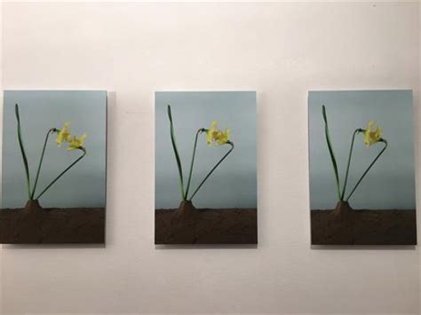 derks - www.arttra.com