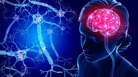 Como Nuestra Salud Mental Afecta Al Intestino Y Vice Versa