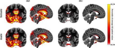 Average Relevance Heatmaps The Average Relevance Heatmaps Across All Download Scientific