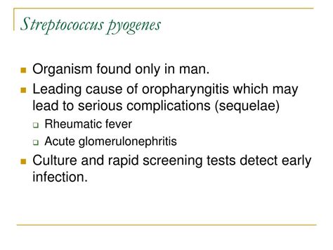 Ppt Unit 4 Part 3 Streptococcal Serology Powerpoint Presentation