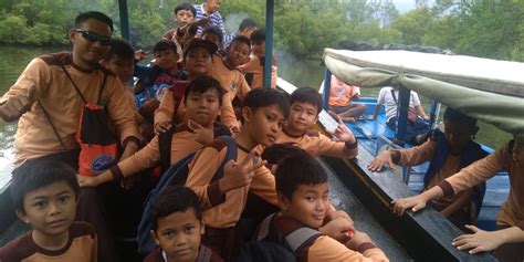Akar Tunjang Dan Akar Nafas Tumbuhan Mangrove Efrideplin