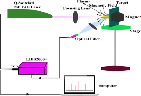 Schematic Diagram Of Magnetic Field Assisted Libs2000 Detection System