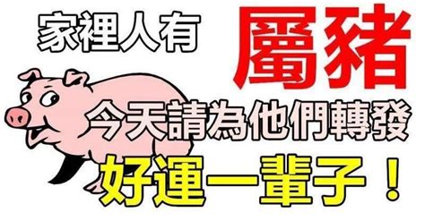 你家裡人有屬豬的嗎，今天開始好運一輩子（必轉） Peekme
