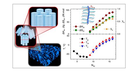 Syndiotactic α Olefin Molecular Bottlebrushes Crystallization Melting And Hierarchical