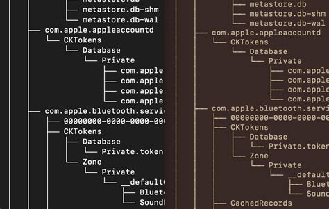 Add Support For Font Agnostic Pixel Perfect Rendering Of Ascii Box