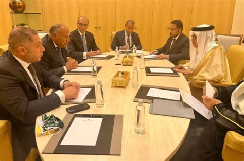 شكري يلتقي وزير خارجية البحرين على هامش المنتدى الاقتصادي العالمي في