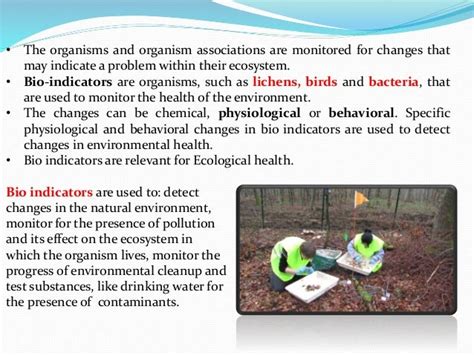 Bioindicators