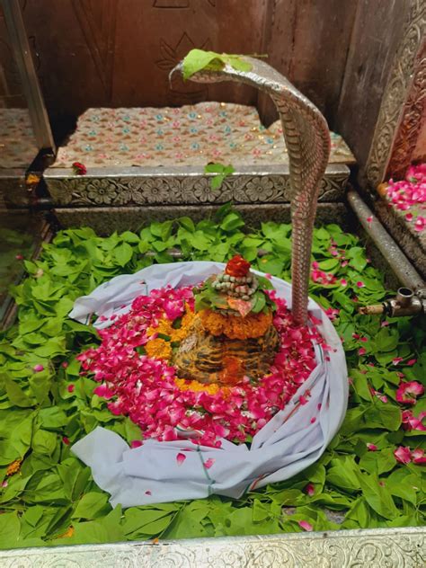 ओंकार महाराज का गुलाब के फूल बेलपत्र से श्रृंगार कर गमछा अर्पित किया