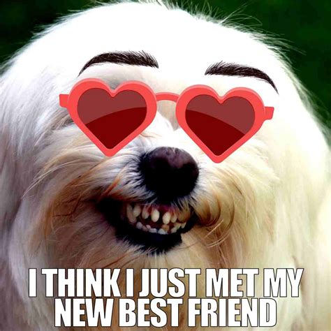 Best Friend Meme