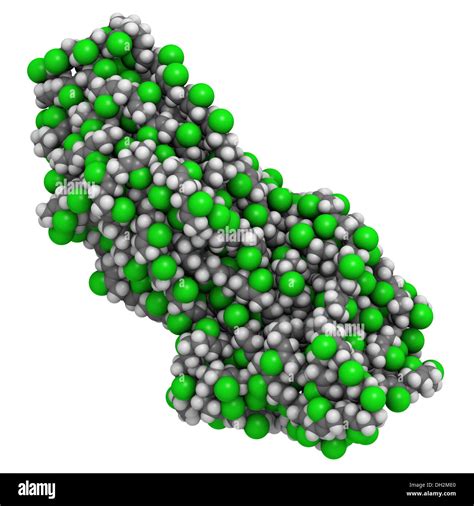 Chemical Structure Of Rubber Bands At Jake Congreve Blog