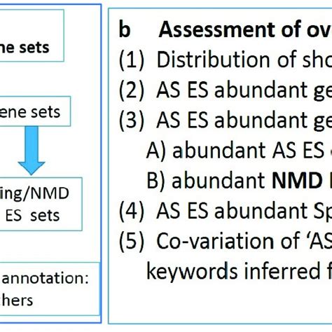 Workflow Scheme For Data Analysis A Das Genes Analysis B Whole Download Scientific
